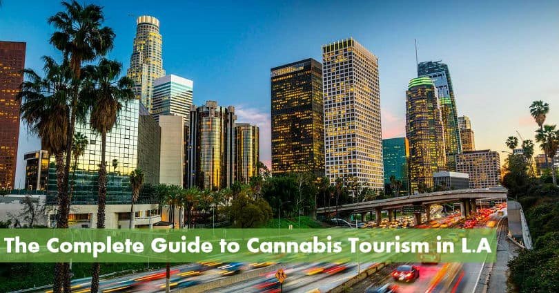 The Complete Guide to Cannabis Tourism in Los Angeles