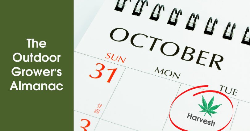 Power up your outdoor cannabis garden with our grow calendar