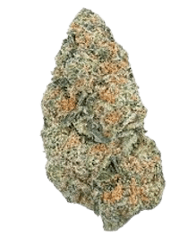 Where's Best to Buy Zoap Seeds Online | Seed-Finder